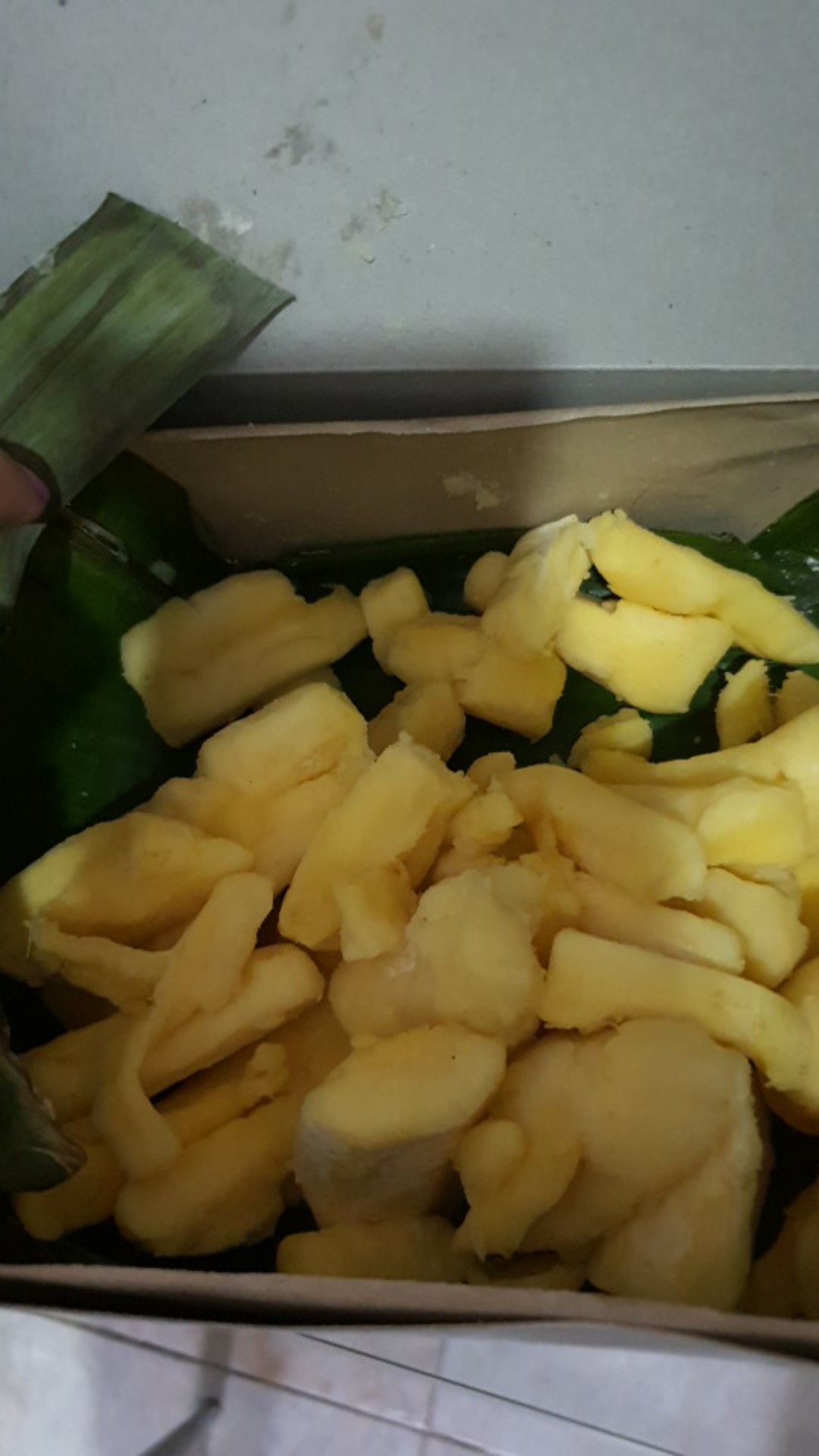 Tape Singkong Kumbang Madu khas Jember | Shopee Indonesia