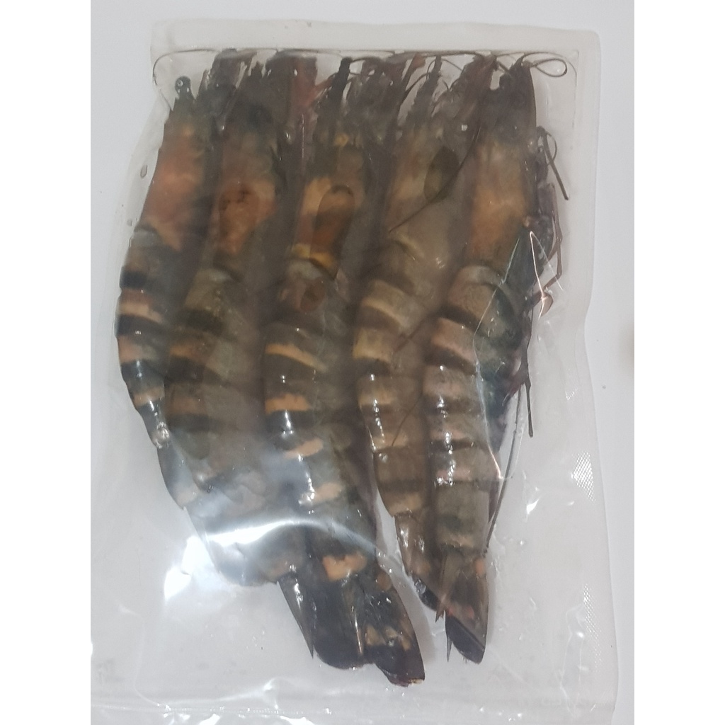 Jual Udang Tiger/Sitto/Windu 500gr plaraseafood | Shopee Indonesia