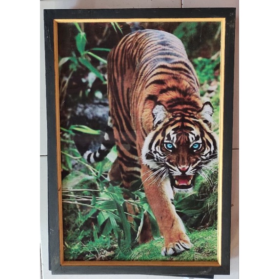 Jual hiasan dinding lukisan cetak macan plus bingkai ukuran 65x45 ... Jual hiasan dinding lukisan cetak macan plus bingkai ukuran 65x45 ...