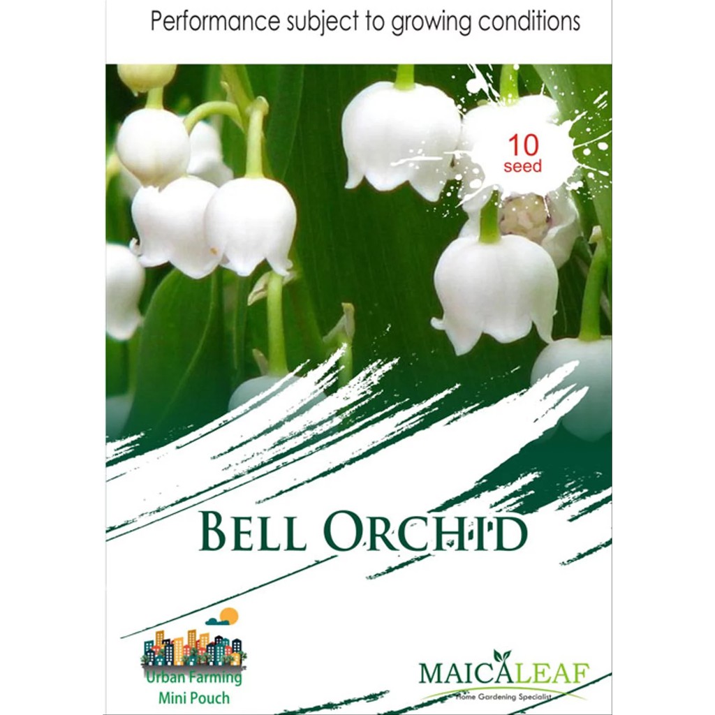 Jual Benih Bunga Anggrek Bell Orchid/Bibit Bunga Anggrek Bell Orchid ...