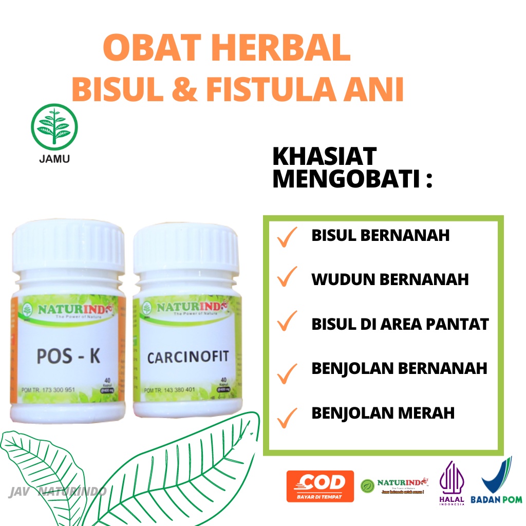 Jual Obat Bisul di Pantat Bisul Bernanah Fistula Ani Herbal Alami Ampuh ...