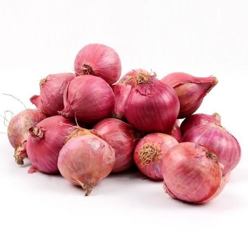 Jual bawang merah karet/bawang merah batu/ bawang merah jumbo super 1kg ...