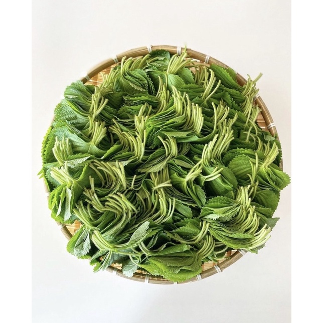 Jual Daun Wijen Korea Korean Bbq Perilla Shiso Sesame Leaf Kkaennip ...