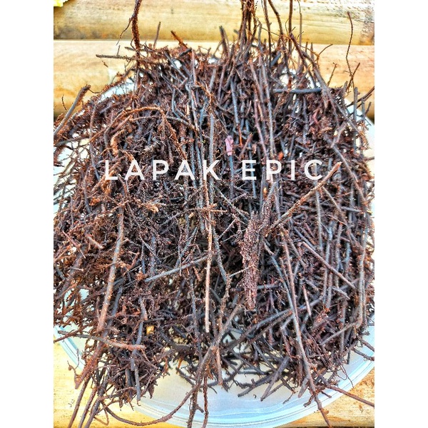 Jual Media Tanam Pakis Cacah 500 gr | Shopee Indonesia