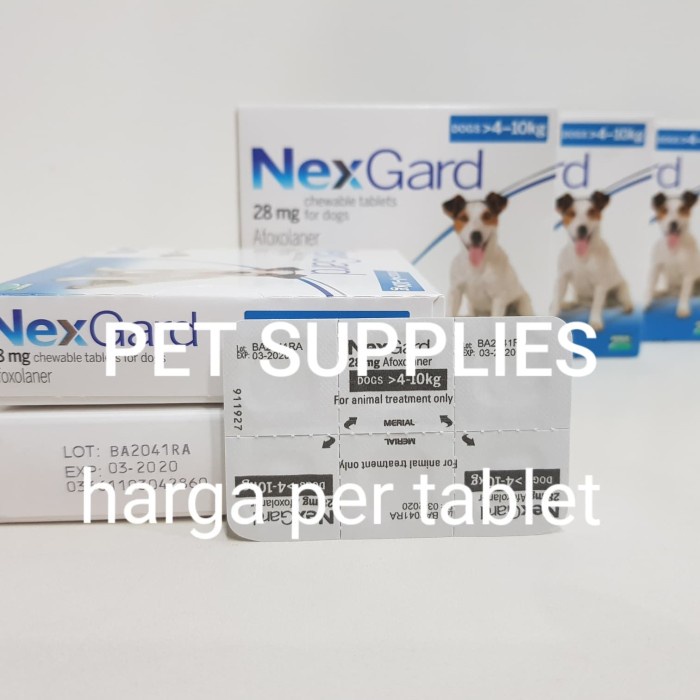 Jual bbg0000 Obat Kutu Dan Demodex Anjing, Nexgard 4 - 10 Kg Xsd20C1 | Shopee Indonesia