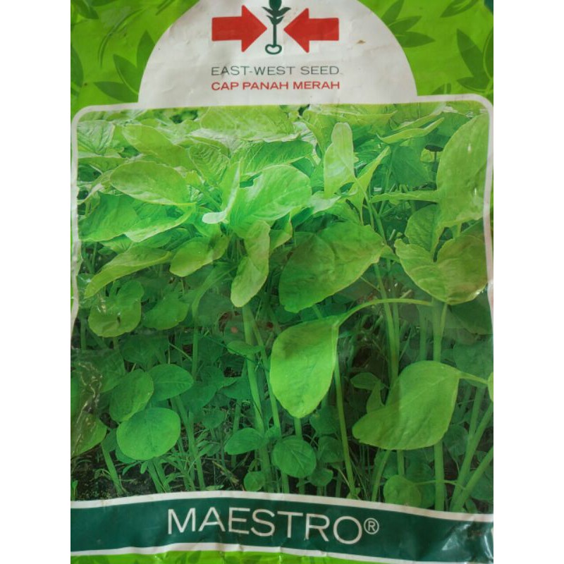 Jual Benih bayam hijau Maestro Panah merah 3000 biji | Shopee Indonesia