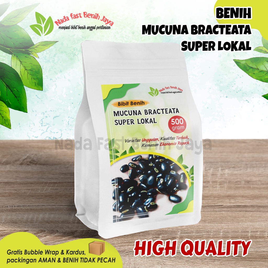 Jual Benih Pilihan Mucuna 500 gram super lokal Benih tanaman cover crop ...
