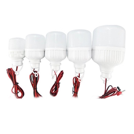 Jual Lampu LED DC 6W/12W/18W/25W/30W Aki Solar Cell Panel Surya DC 12V ...