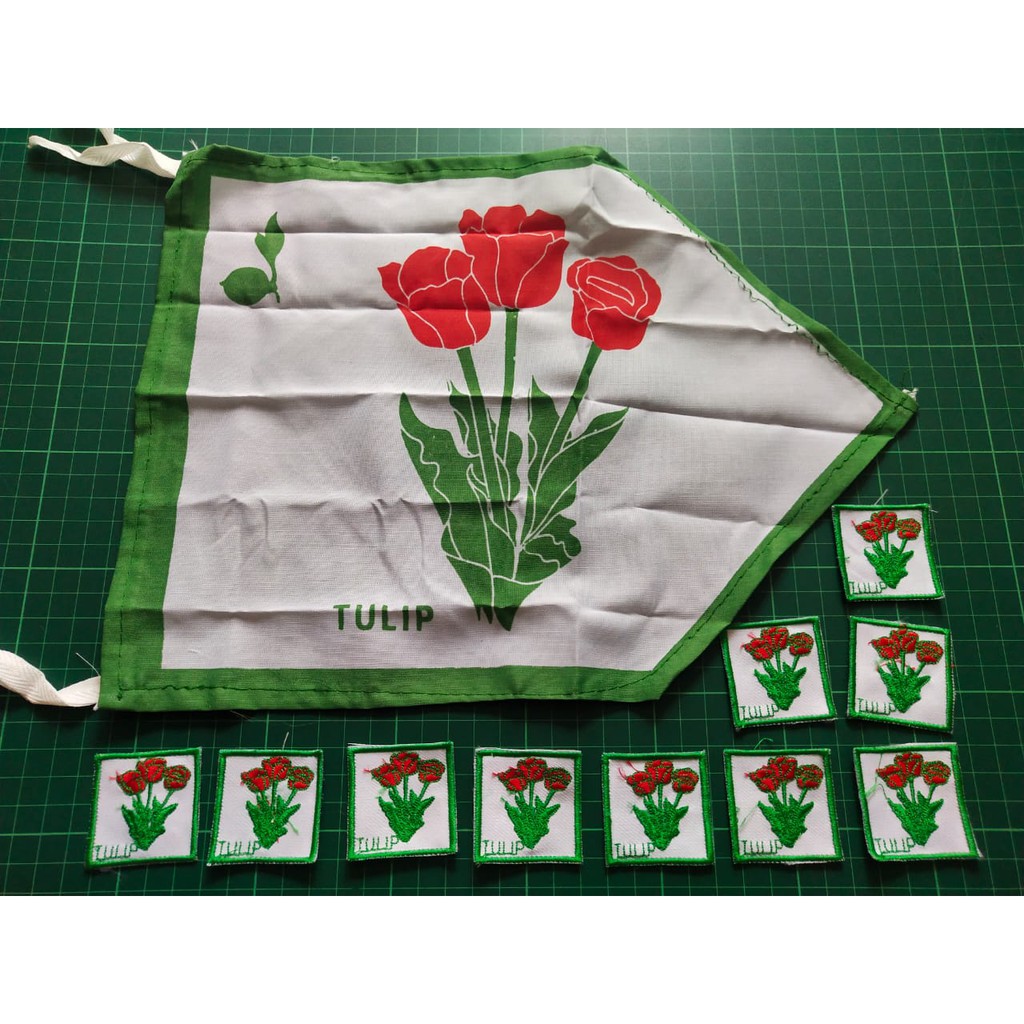 Jual TANDA REGU BUNGA TULIP SET BENDERA PENGGALANG PUTRI PRAMUKA ...