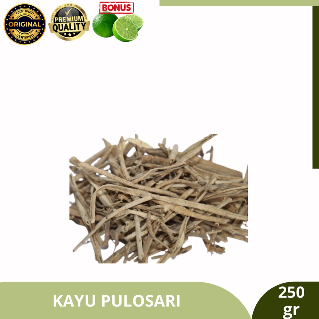 Jual Kayu Pulosari Kering Rempah Herbal Kualitas Terbaik 250 gr ...