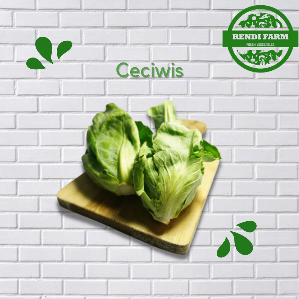 Jual SAYUR SEGAR - CECIWIS/ CICIWIS SEGAR 500 GR | Shopee Indonesia