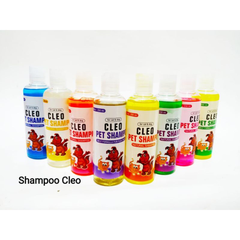 Jual Shampoo Cleo | Shopee Indonesia