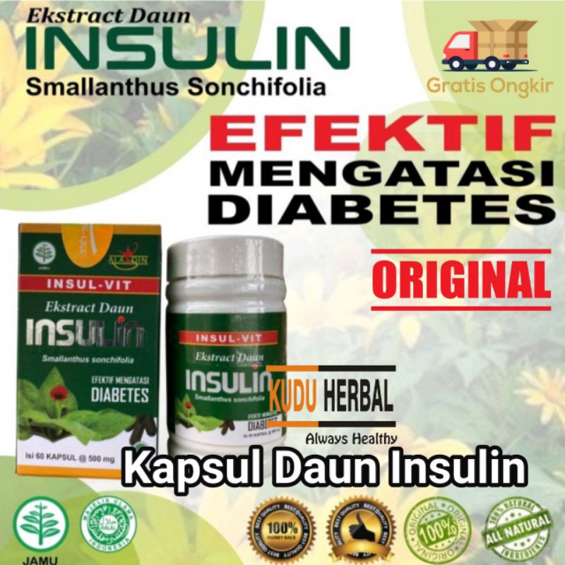 Jual Kapsul Daun Insulin I Daun Insulin Original I Daun Insulin untuk ...