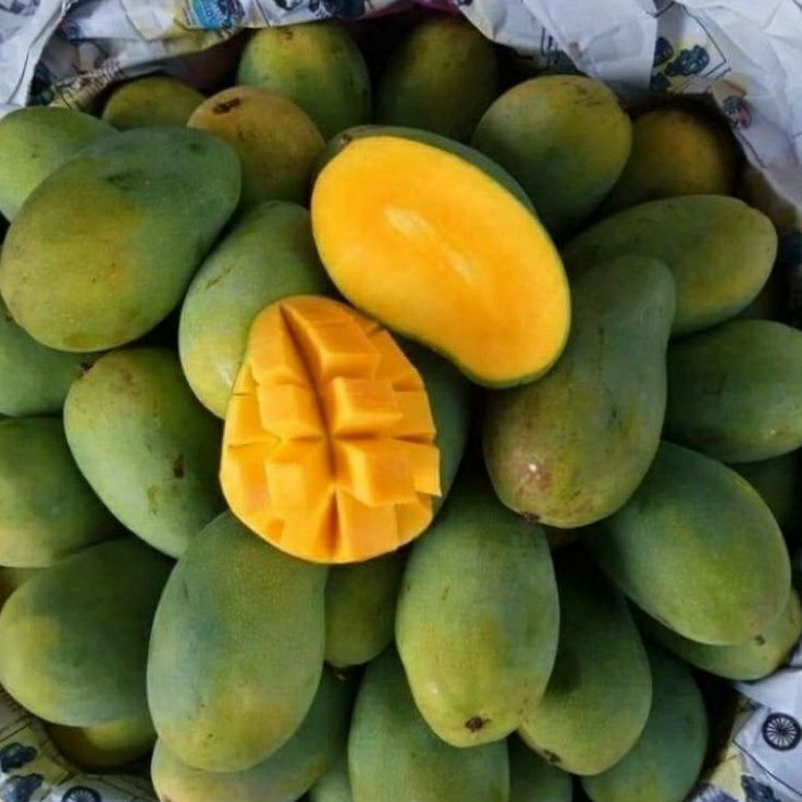 Jual Buah Mangga Harum Manis Fresh / 5Kg | Shopee Indonesia Jual Buah Mangga Harum Manis Fresh / 5Kg | Shopee Indonesia