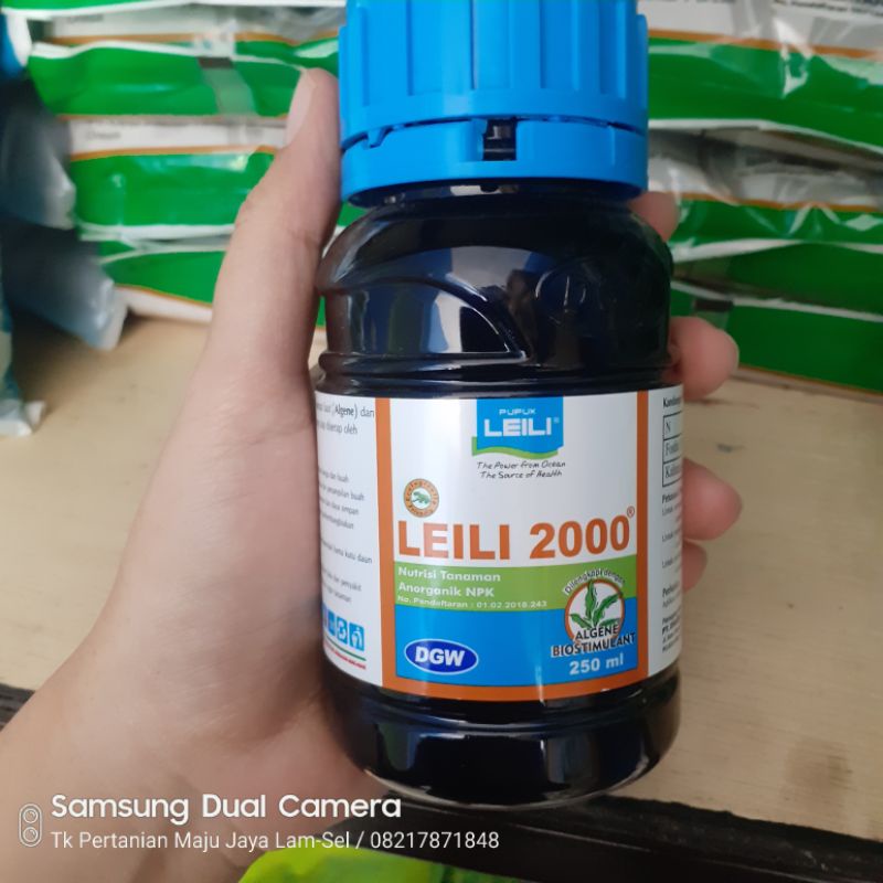 Harga Leili Terbaru Januari 2024 |BigGo Indonesia