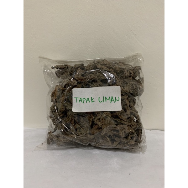 Jual Jamu Godok Daun Tapak Liman | Shopee Indonesia