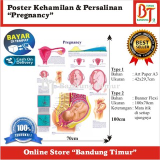 Jual POSTER KEHAMILAN DAN PERSALINAN PREGNANCY | Shopee Indonesia