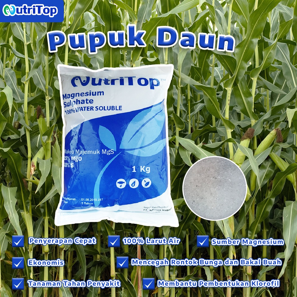 Jual Pupuk Daun Magnesium Sulfat / MgS NutriTop Premium 1 Kg | Shopee ...