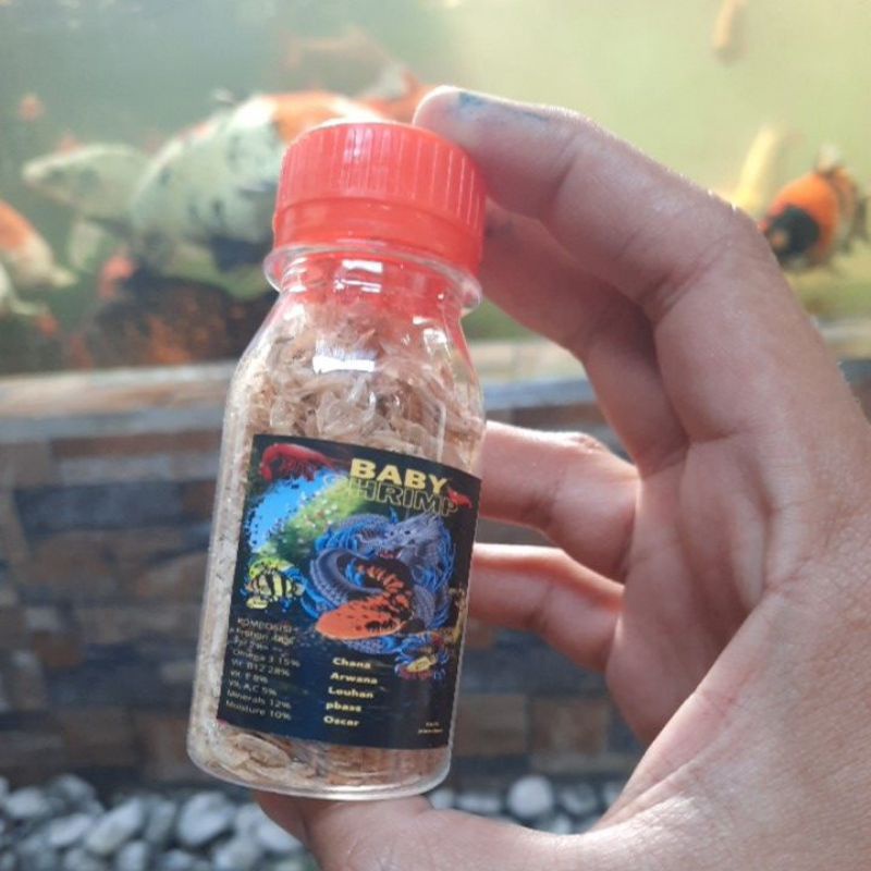 Jual Baby Shrimp / udang pakan ikan hias | Shopee Indonesia Jual Baby Shrimp / udang pakan ikan hias | Shopee Indonesia