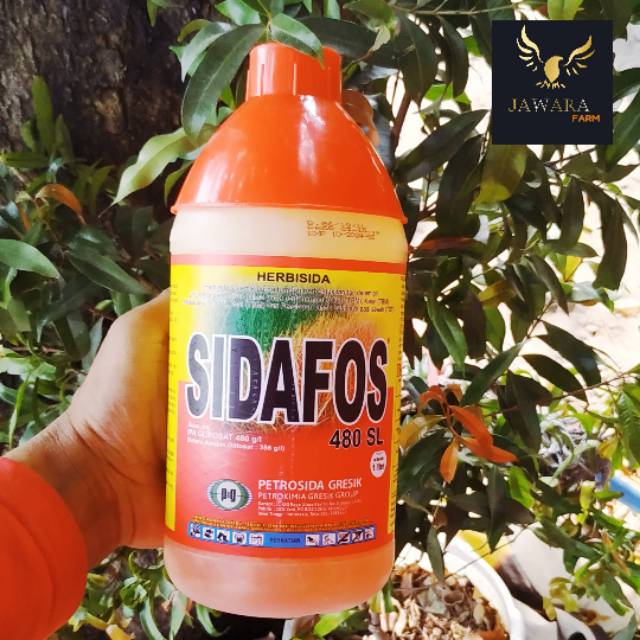 Jual Sidafos 480 sl 1 liter - Herbisida Pembasmi Rumput | Shopee Indonesia