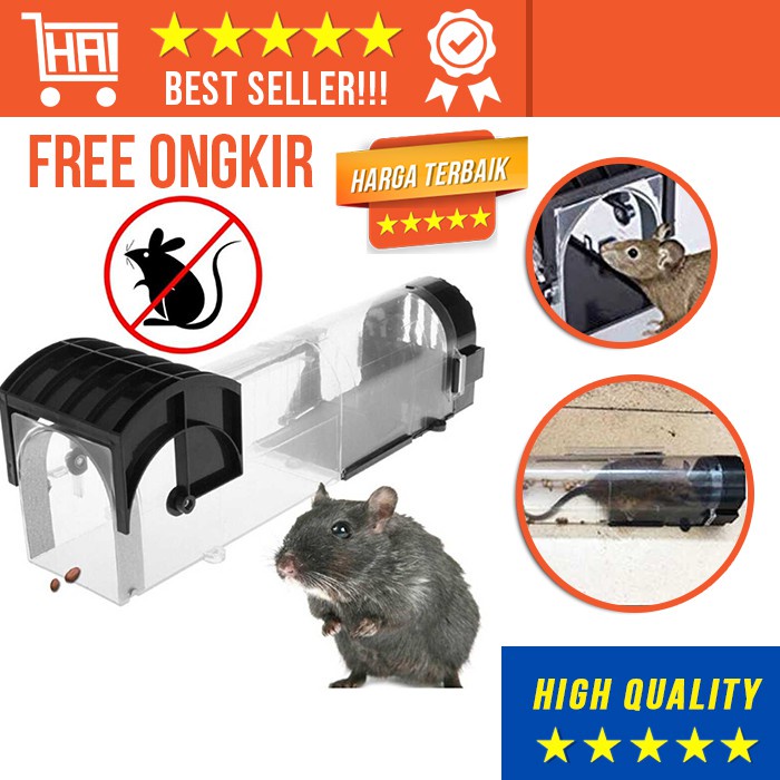 Jual PERANGKAP TIKUS / JEBAKAN TIKUS / SENTEG JEPIT JEBAKAN TIKUS ...