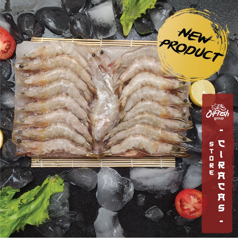 Udang Jerbung (Penaeus merguensis) - Biota Dunia Perairan