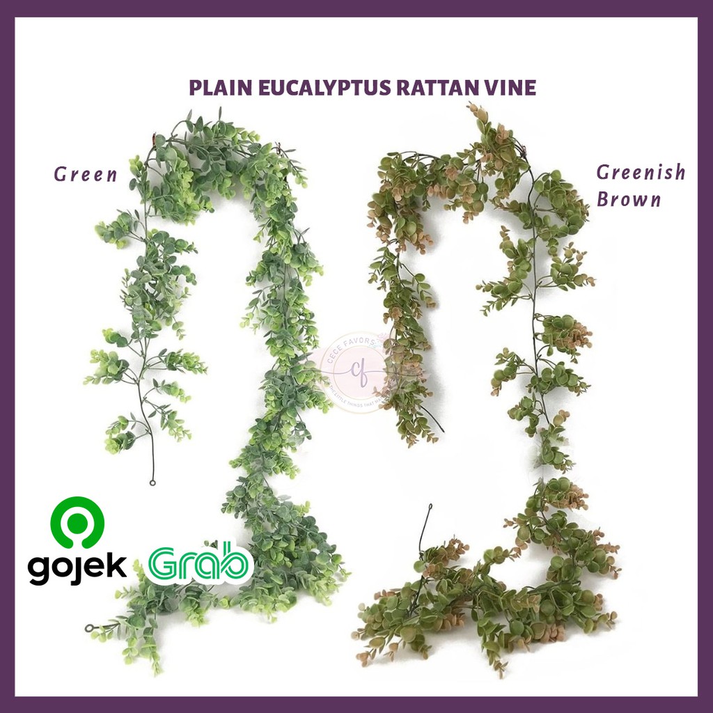 Jual Daun Rambat Plastik Plain Eucalyptus Rattan Vine | Shopee Indonesia