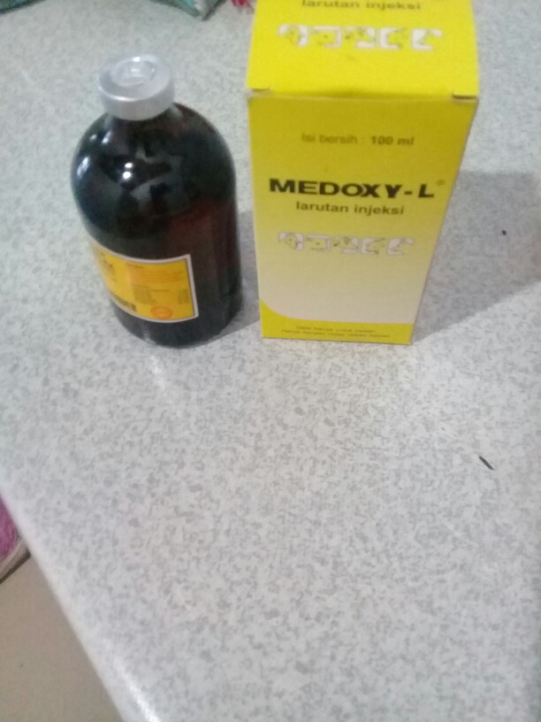 MEDOXY -L 100 ml (ANTIBIOTIK SPEKTRUM LUAS) | Shopee Indonesia