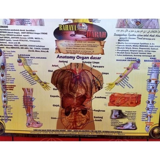 Jual Poster Bekam Petunjuk Titik Titik Bekam Yang Harus Di Ke Sitdyo ...