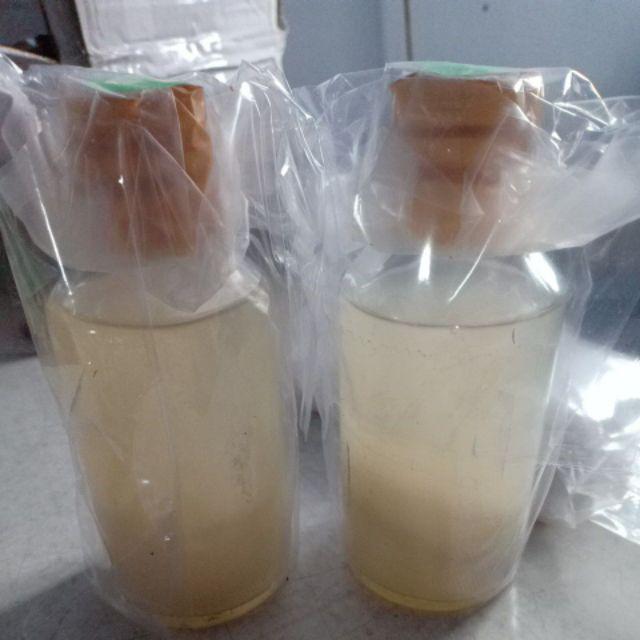 BIBIT NATA DE COCO, STARTER NATA decoco || bakteri Acetobacter Xylinum ...