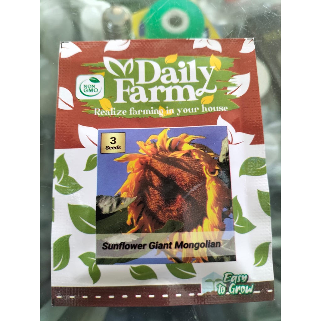 Jual Benih Bibit Bunga Matahari Raksasa - Bibit Sunflower Mongolian ...