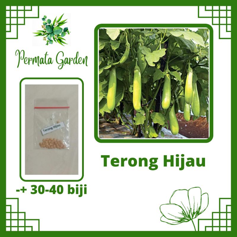 Jual Benih Terong Hijau - Benih Berkhualitas - Benih Sayur - Benih ...