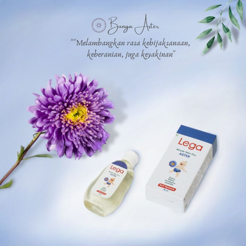 Jual LEGA Minyak Telon Plus Varian Bunga Aster 70ml Indonesia|Shopee ...