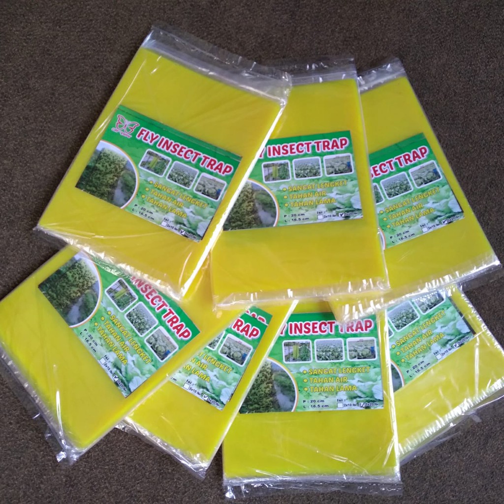 Jual Fly Insect Trap / perangkap hama terbang isi 100lembar (yellow ...