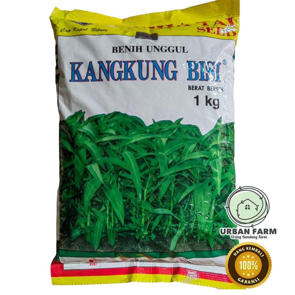 Jual BENIH KANGKUNG BISI 1kg - Cap Kapal Terbang | Shopee Indonesia