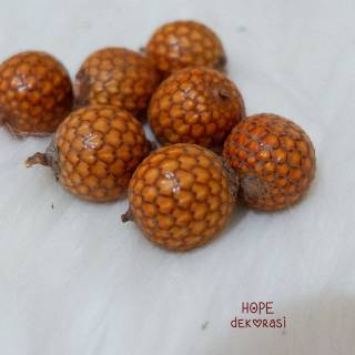 Jual BIJI ROTAN / BIJI SALAK KERAJINAN (isi 10 biji) | Shopee Indonesia