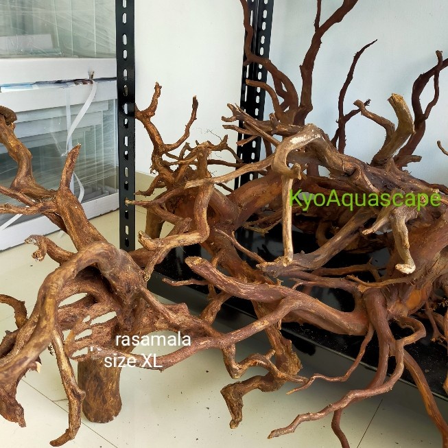 Jual kayu rasamala XL | Shopee Indonesia