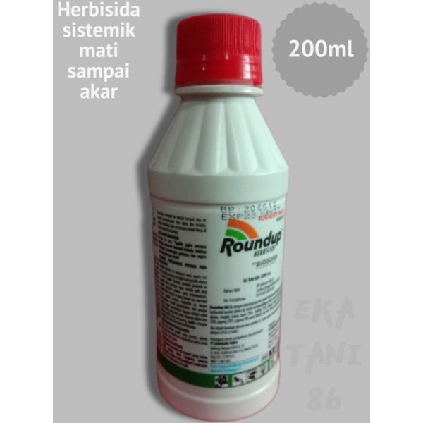 Jual Obat Roundup 486SL Herbisida pembasmi rumput /gulma mati sampai ...