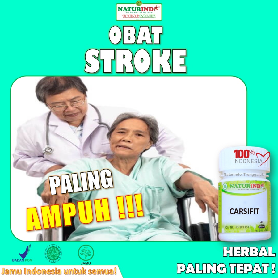 Jual Obat Stroke Struk Paling AMPUH Ringan Berat Pelancar Pembuluh ...