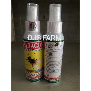Jual Paragon spray Obat lalat pada luka ternak racun lalat pembunuh ...