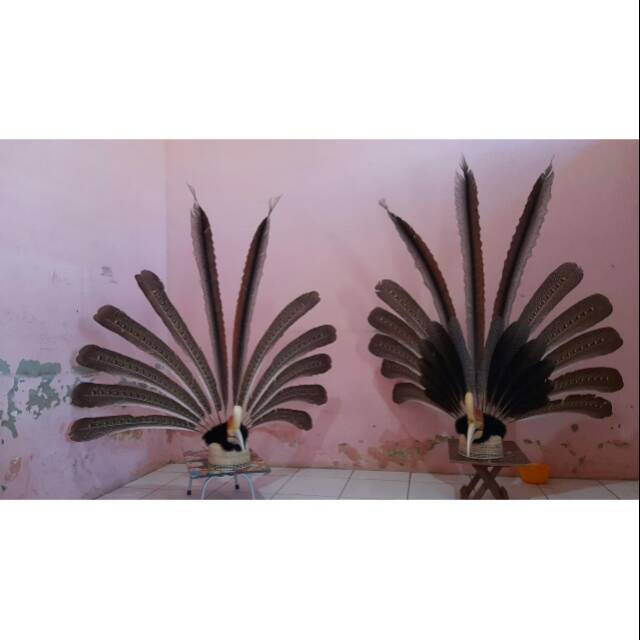 Jual TOPI DAYAK MAHKOTA DAYAK TOPI ADAT DAYAK KALIMANTAN FULLSET ... Jual TOPI DAYAK MAHKOTA DAYAK TOPI ADAT DAYAK KALIMANTAN FULLSET ...