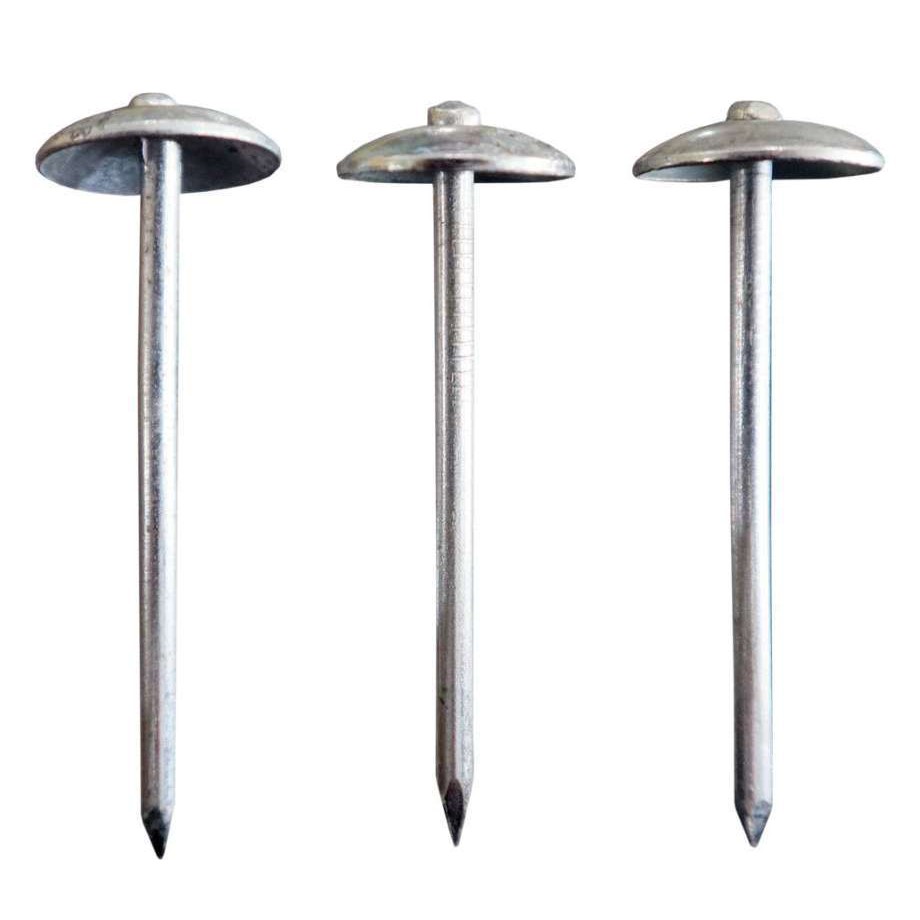 Jual Paku Payung Seng Asbes Gelombang Ukuran 3" 3 inch 7cm Putih RRT ...