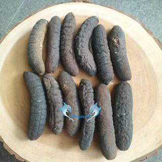 Jual Haisom/ Teripang / lintah laut/ sea cucumber asli BELITUNG isi 10 ...