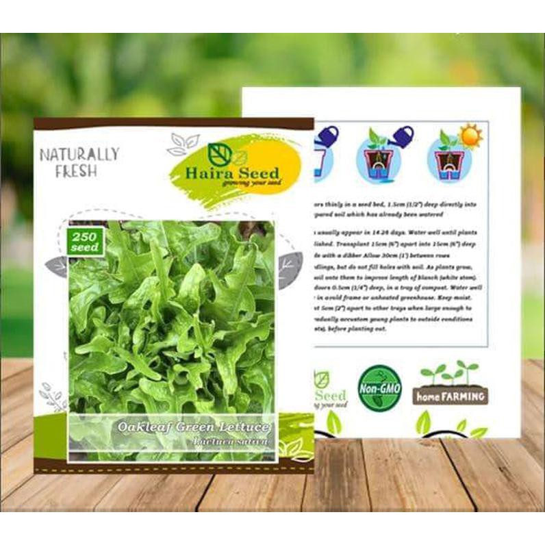 Jual isi 200 Benih Biji Selada Oakleaf Lettuce Haira Seeds Original Pack | Shopee Indonesia