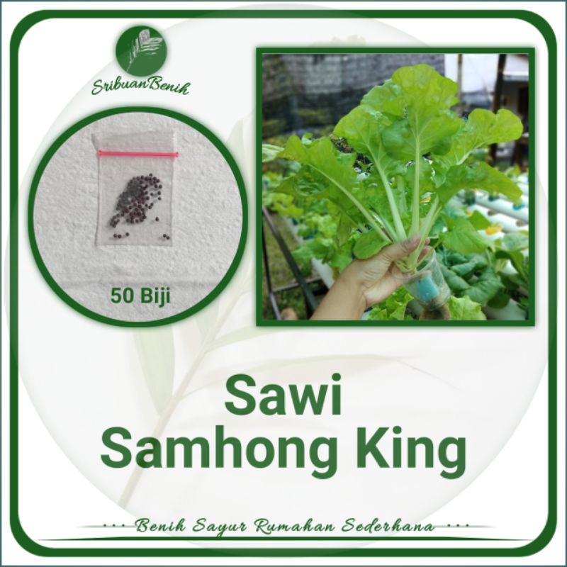 Jual 50 Benih Sawi Samhong King Benih Sayuran Sederhana Bibit Sawi ...