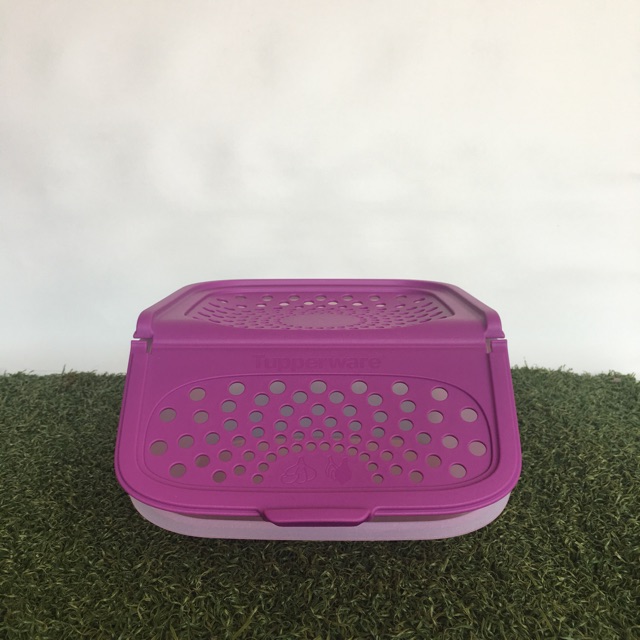 Jual Tempat bawang (1pc) ( WAJIB DOUBEL PACK) | Shopee Indonesia