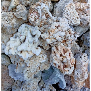 Jual batu karang hias aquarium dead rock stone | Shopee Indonesia