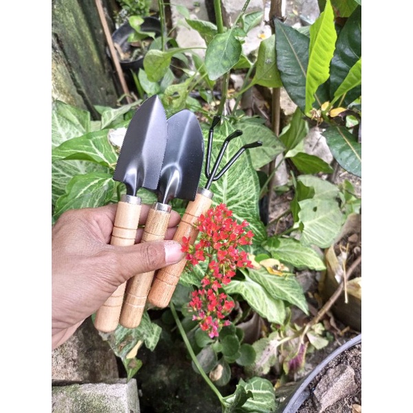 Jual Sekrop mini Alat bertanam di pot polibag sekrop cangkul garuk ...