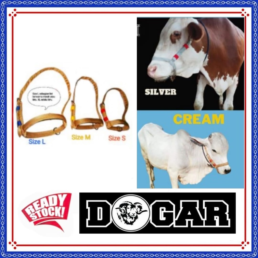 Jual TALI MULUT SAPI / IKAT KEPALA SAPI / BRANGUS SAPI / BRACOK / BRONGSONG / HEAD HALTER SAP ...