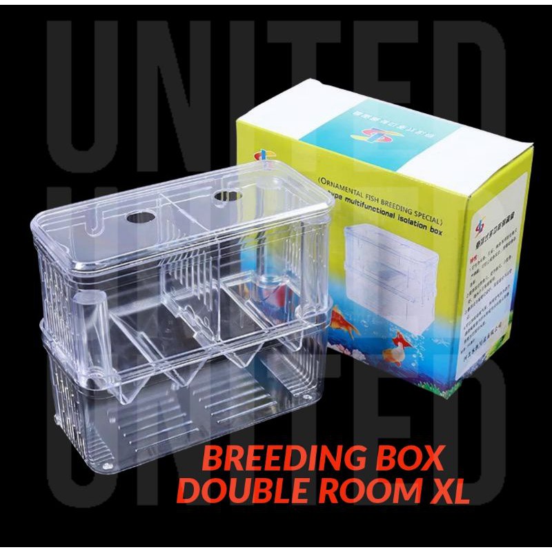 Jual Breeding Box Guppy Molly Double Room XL With Oxygen Inlet - Fish ...